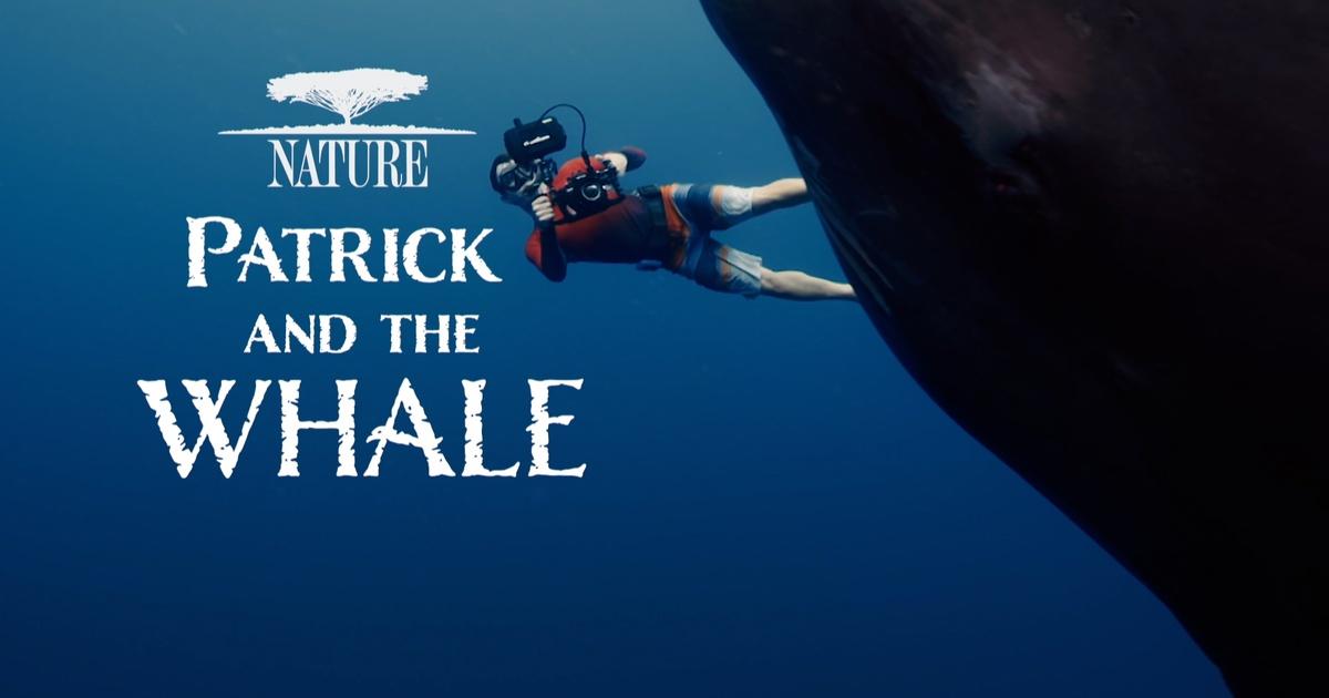 WTVP Spots | Trailer | NAAT #4208 | Patrick and the Whale | Season 2025 ...
