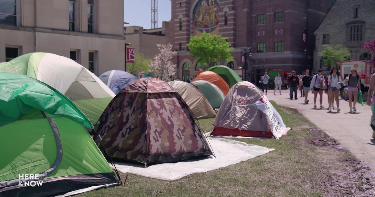 Here and Now | UW-Madison Students, Staff React to Gaza Protests on ...