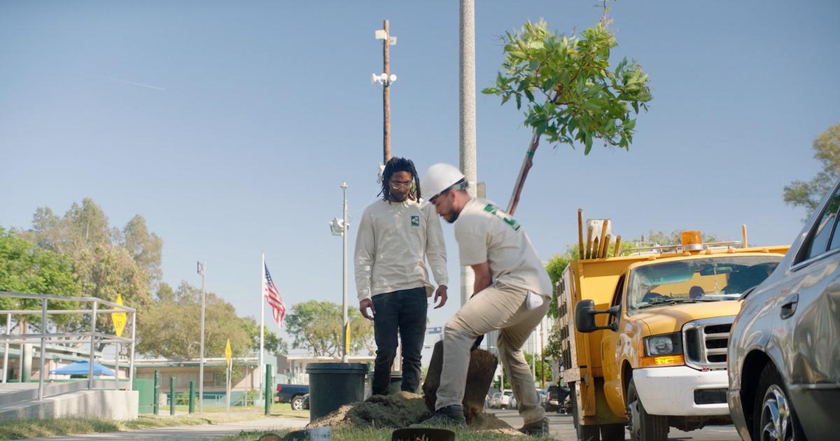 Earth Focus | Combating Climate Change with Trees | Season 6 | Episode ...