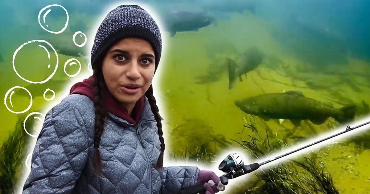 Into the Outdoors | Removing Dams - Restoring Rivers | Season 1 ...