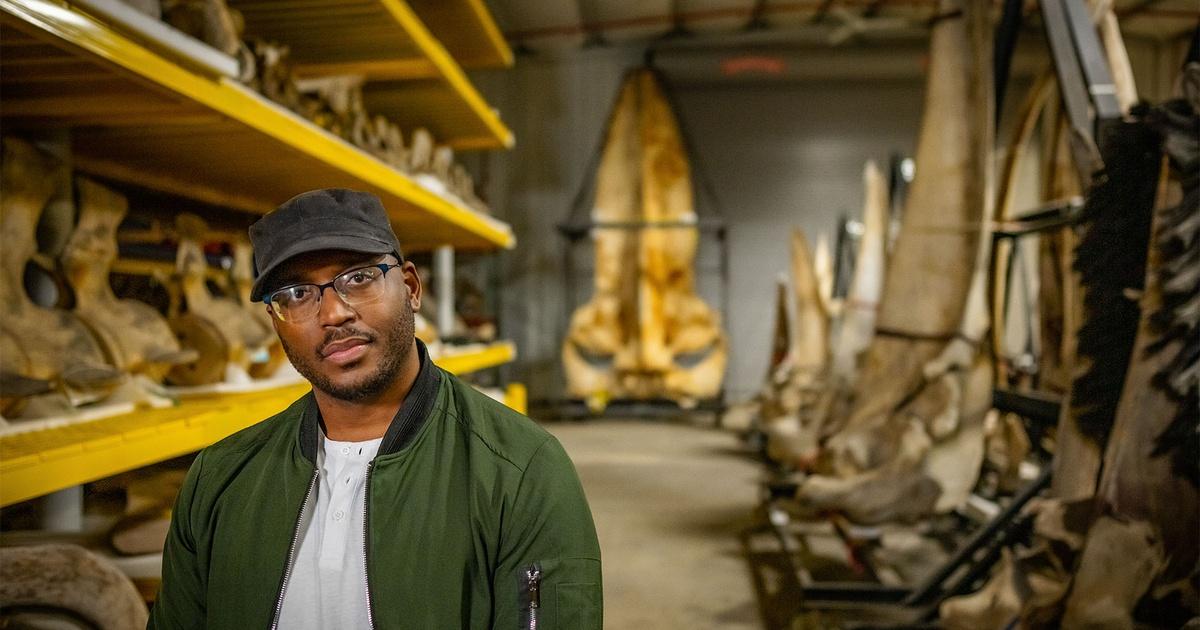 Human Footprint | Top Predator | Season 1 | Episode 2 | PBS