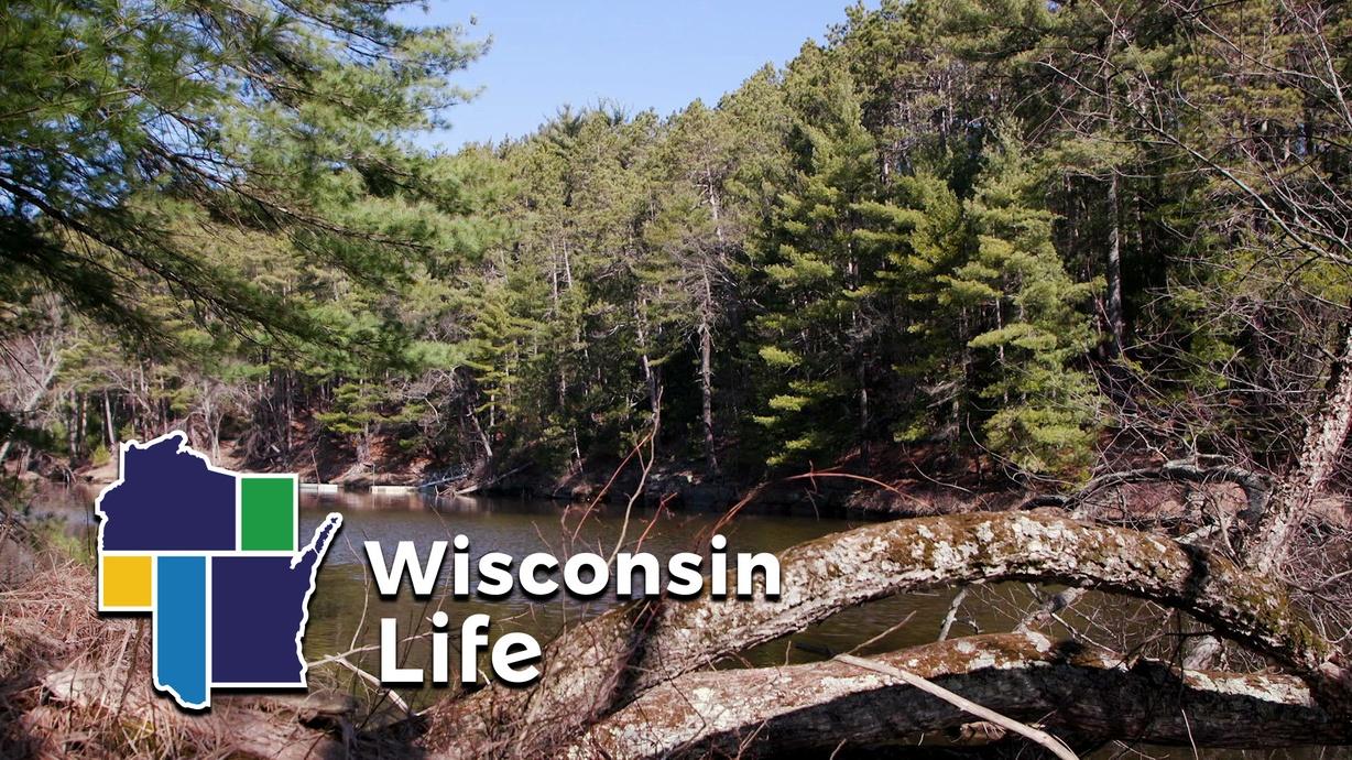 Upham Woods Outdoor Learning Center | Watch Wisconsin Life on PBS Wisconsin