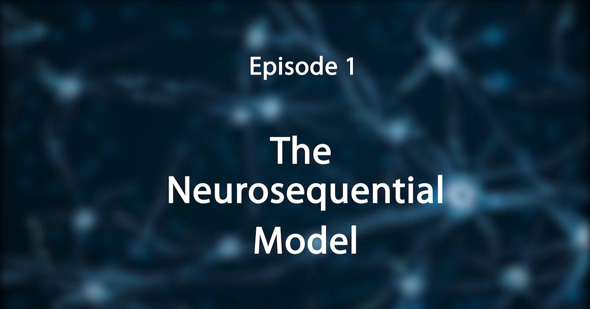 CET/ThinkTV Education | Season 1 | Episode 1: The Neurosequential Model ...