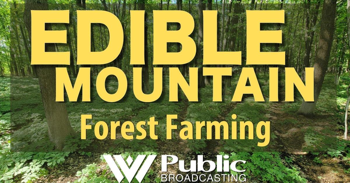 Edible Mountain | PBS