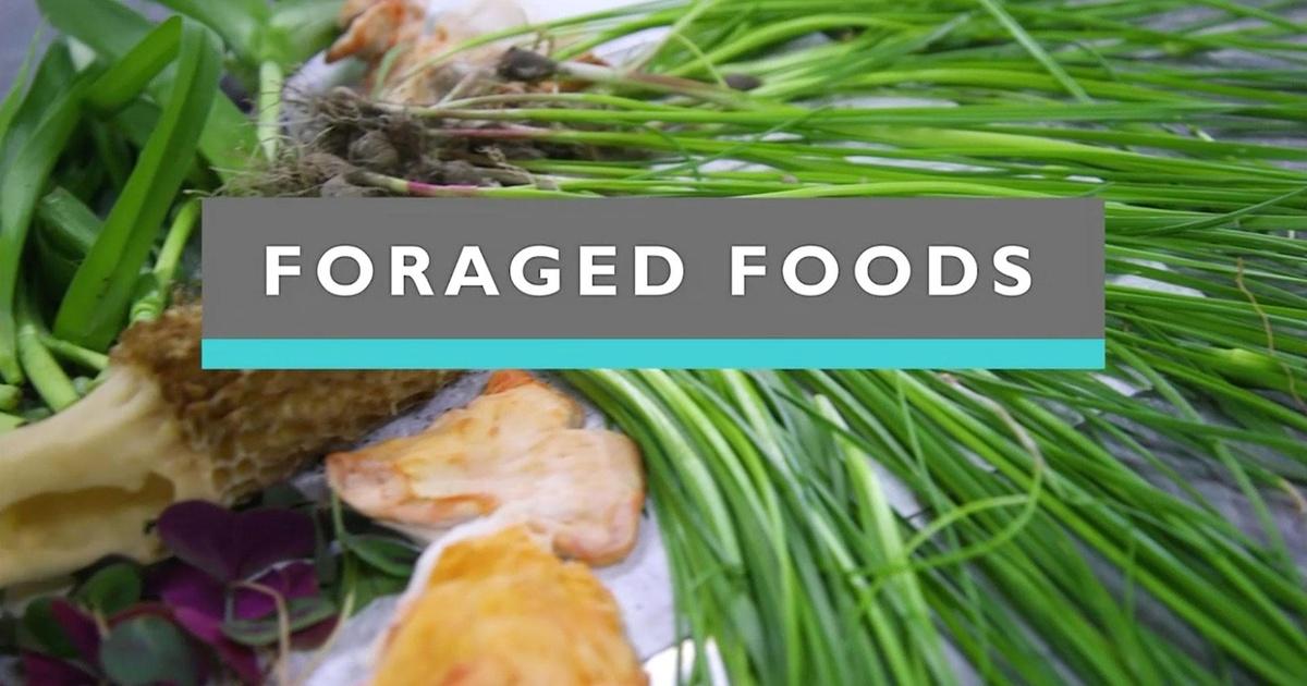 Feast TV | Foraged Foods | Season 2017 | Episode 14 | PBS