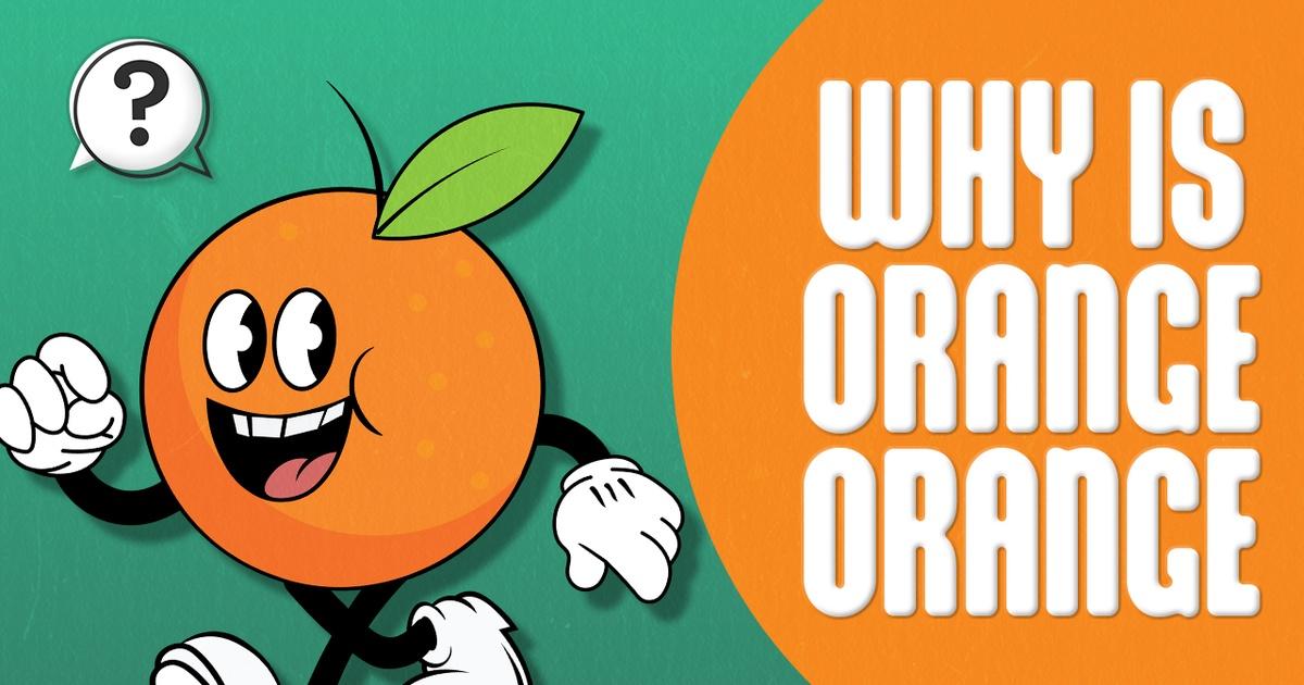 But Why – A show for curious kids | Why is the food orange called the ...