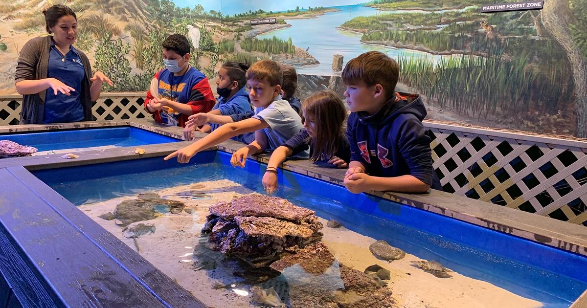 Carolina Classrooms | We’re going on a field trip | Houston PBS