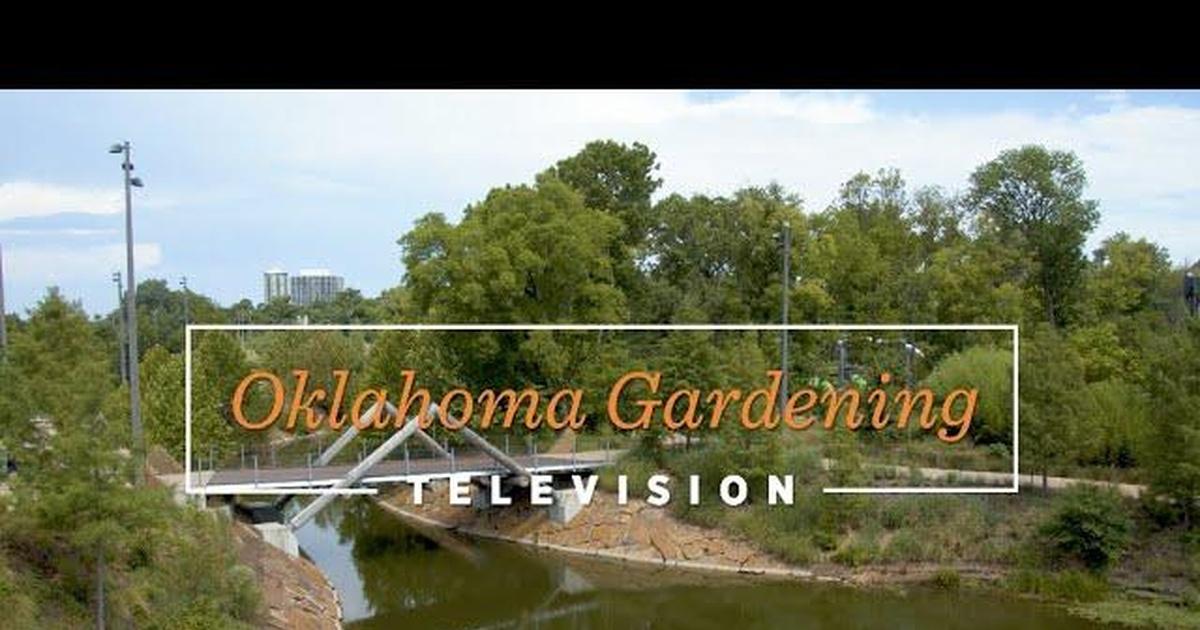 Oklahoma Gardening | Gardens in the Tulsa area on the Best of Oklahoma ...
