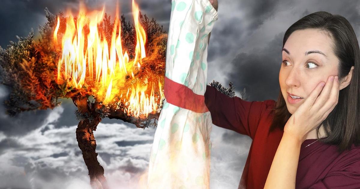 Reactions | Cellulose: From Trees to Explosives | Season 6 | Episode 15 ...