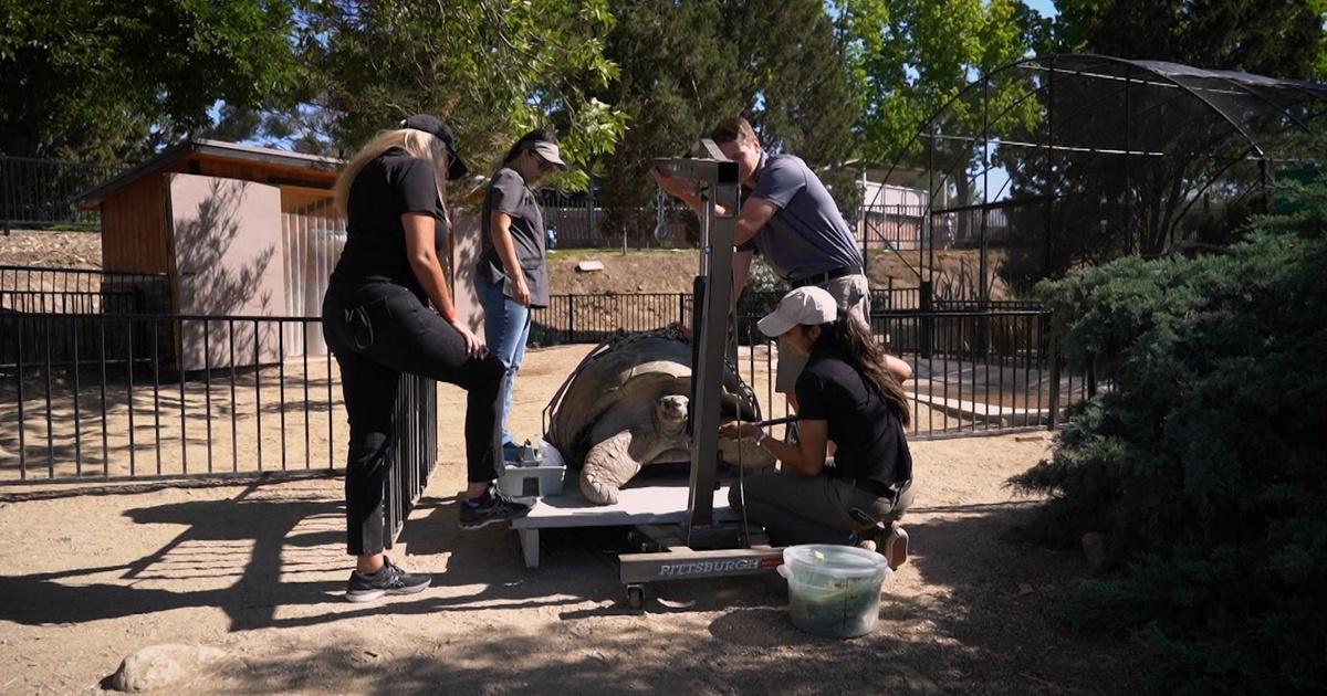 Inside California Education | America’s Teaching Zoo | Season 4 ...