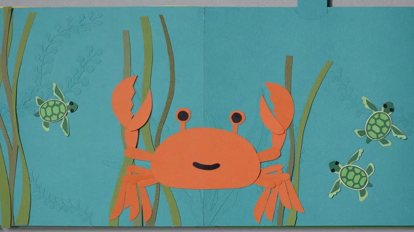 Sesame Street | 12 Tiny Turtles | Season 48 | Episode 34 | PBS