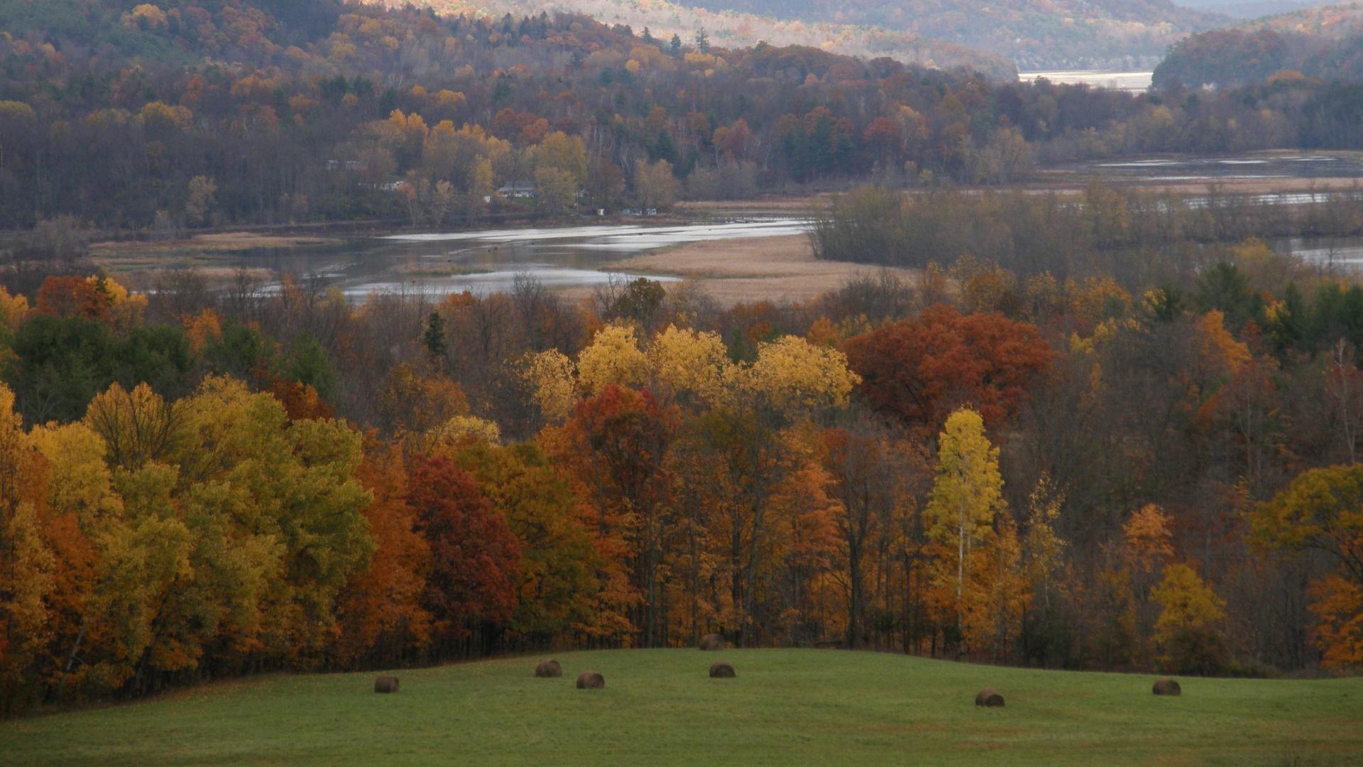 Rural Areas Still Struggling To Get Broadband Access | New York NOW | WLIW