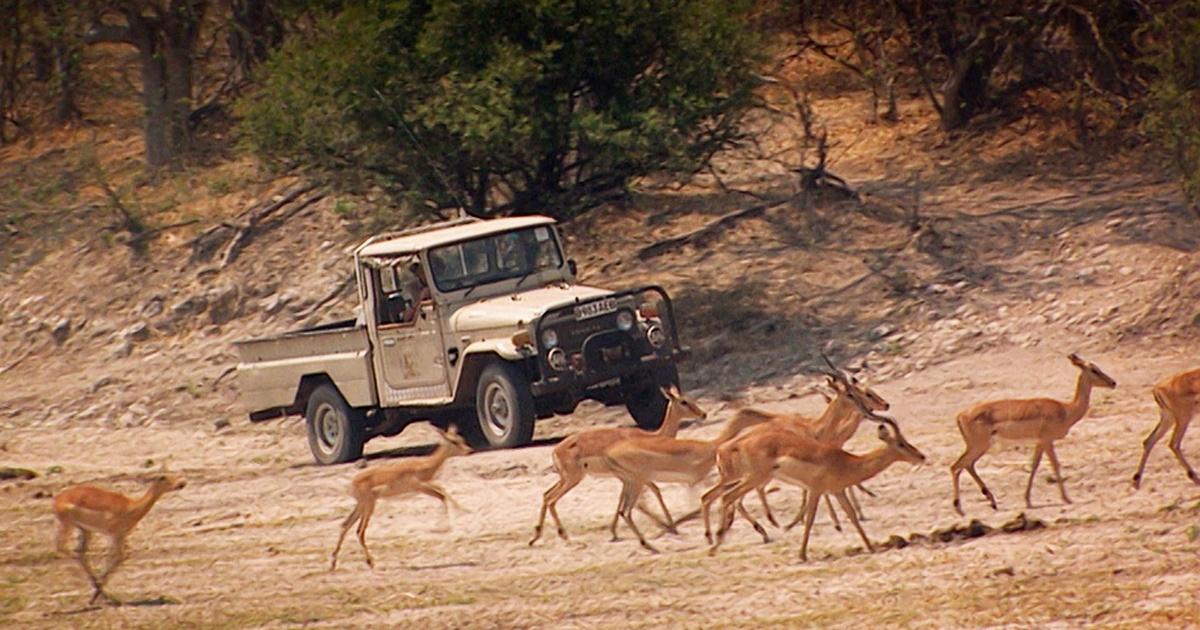 World's Greatest | Drives | Season 5 | Episode 2 | PBS