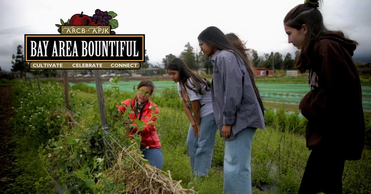 Bay Area Bountiful | PBS