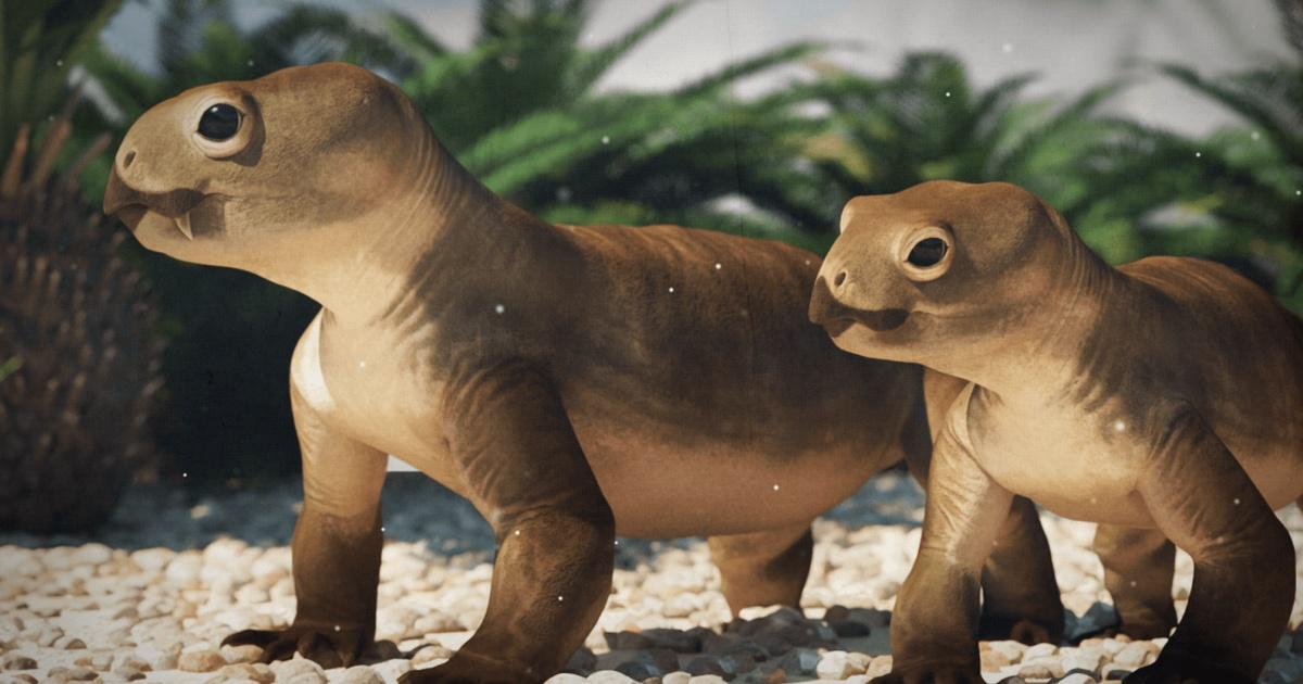 Eons | Is This The Oldest Dad In The Fossil Record? | Season 4 ...