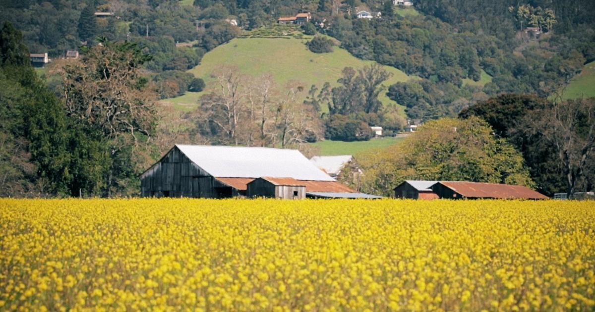 Bay Area Bountiful | The Good Earth | PBS