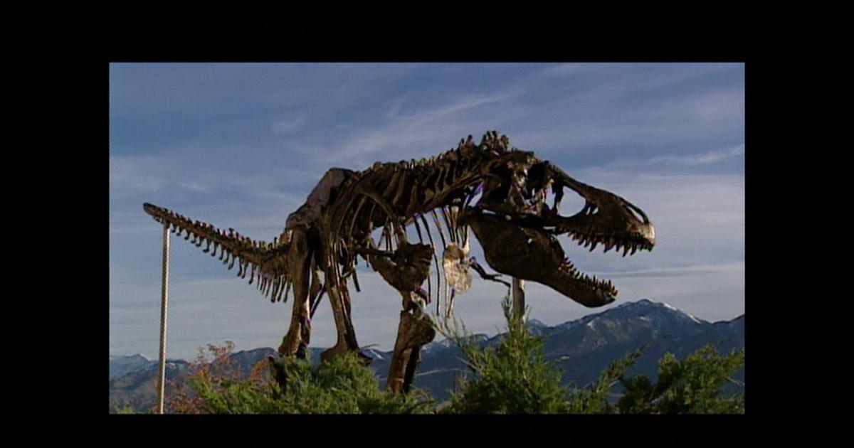 Science Trek | D4K: Dinosaurs with Jack Horner | PBS