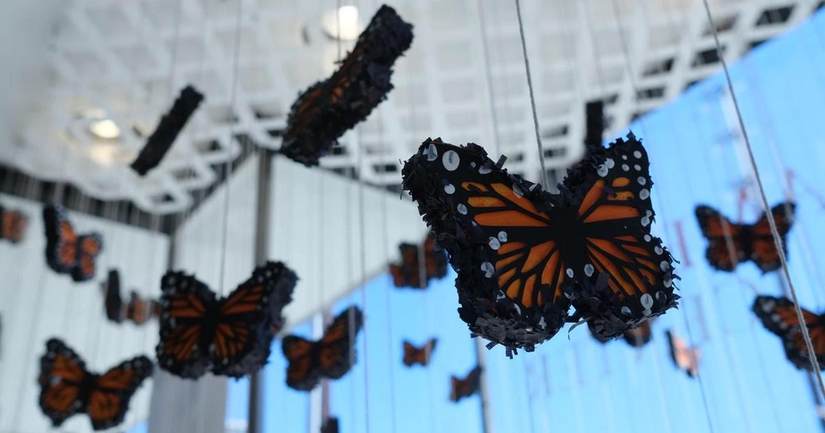 SoCal Update | L.A.’s First Ever Piñata Exhibit Opens | Sept. 24 | PBS