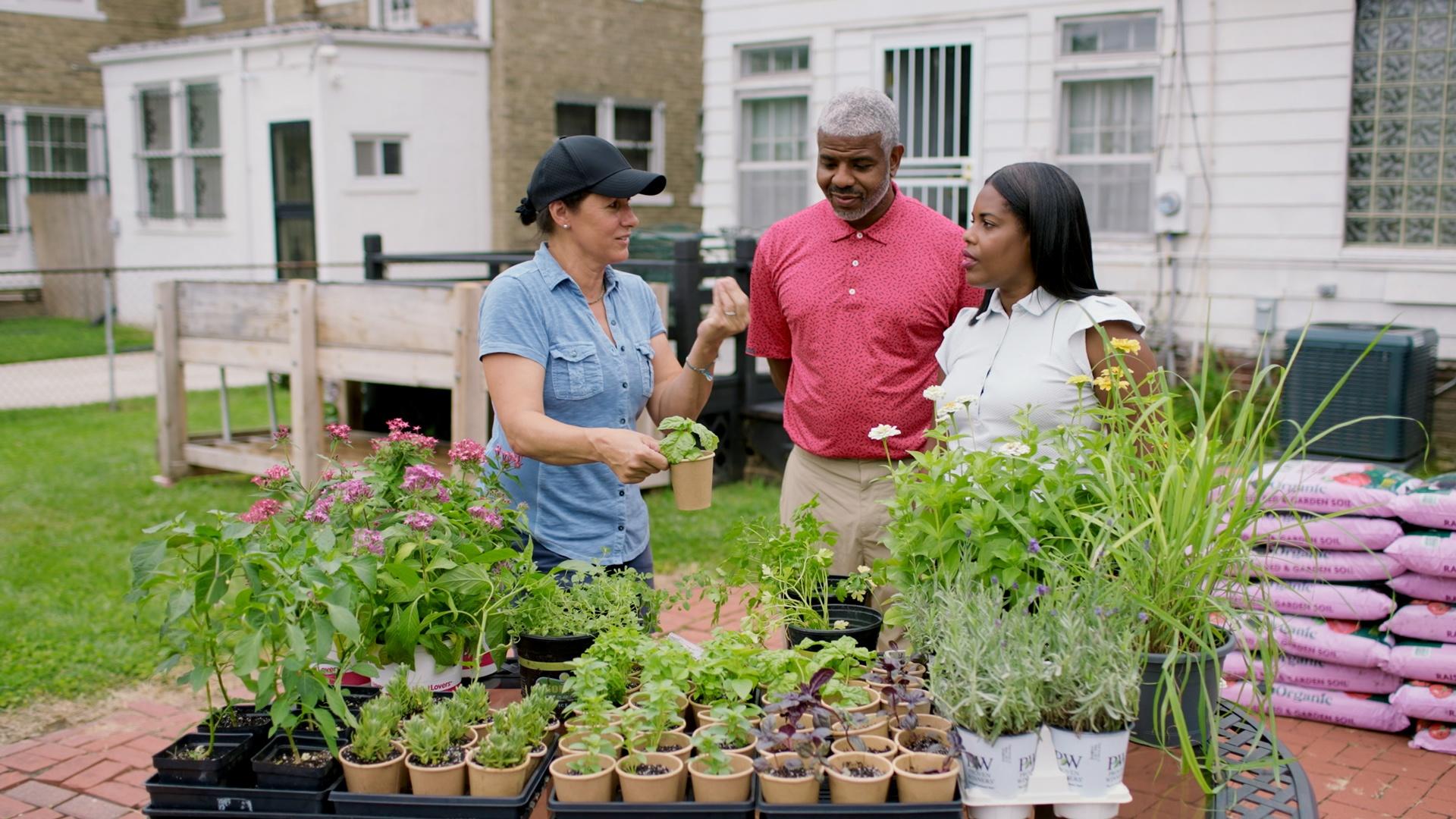 E22 | Urban Gardens, Apron Driveway | Ask This Old House | Ask This Old ...