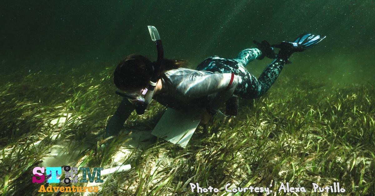 WFSU Education | What Is It Like To Be a Marine Ecologist? | Season ...