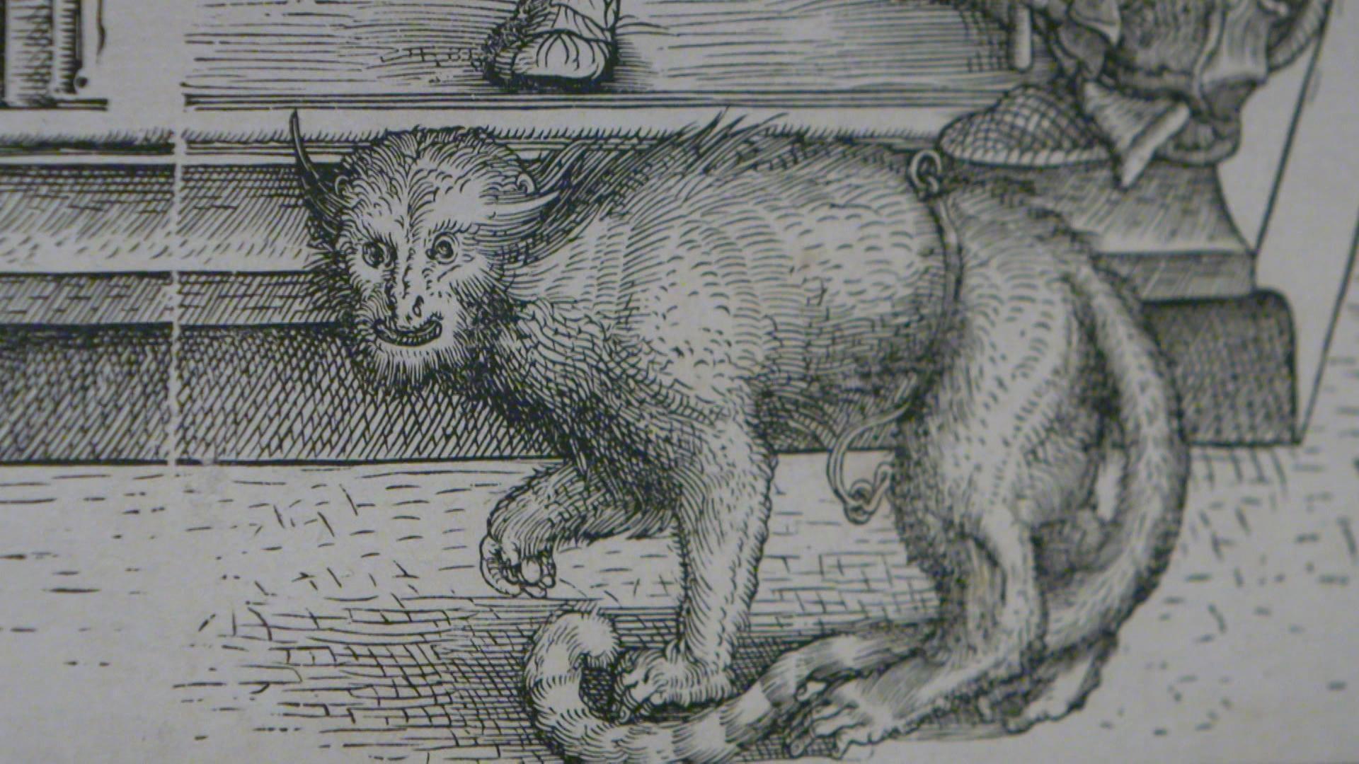 The Triumph of Maximillian (Triumphal Arch) | NYPL Treasures | ALL ARTS