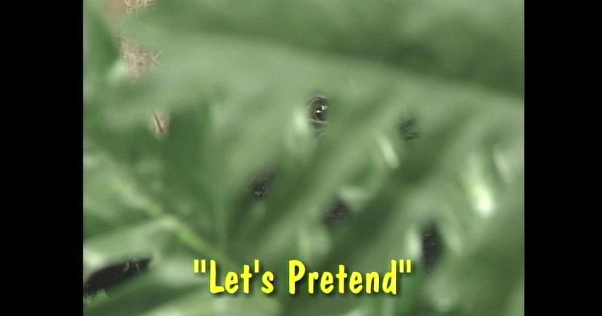 Hello, Mr. Chuck! | Let's Pretend | Season 3 | Episode 6 | PBS