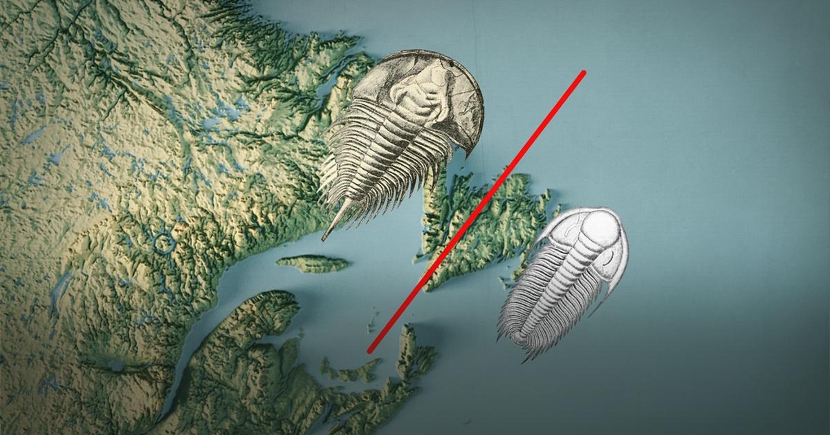 Eons | Are All Oceans Basically Reincarnated? | Season 7 | Episode 20 | PBS