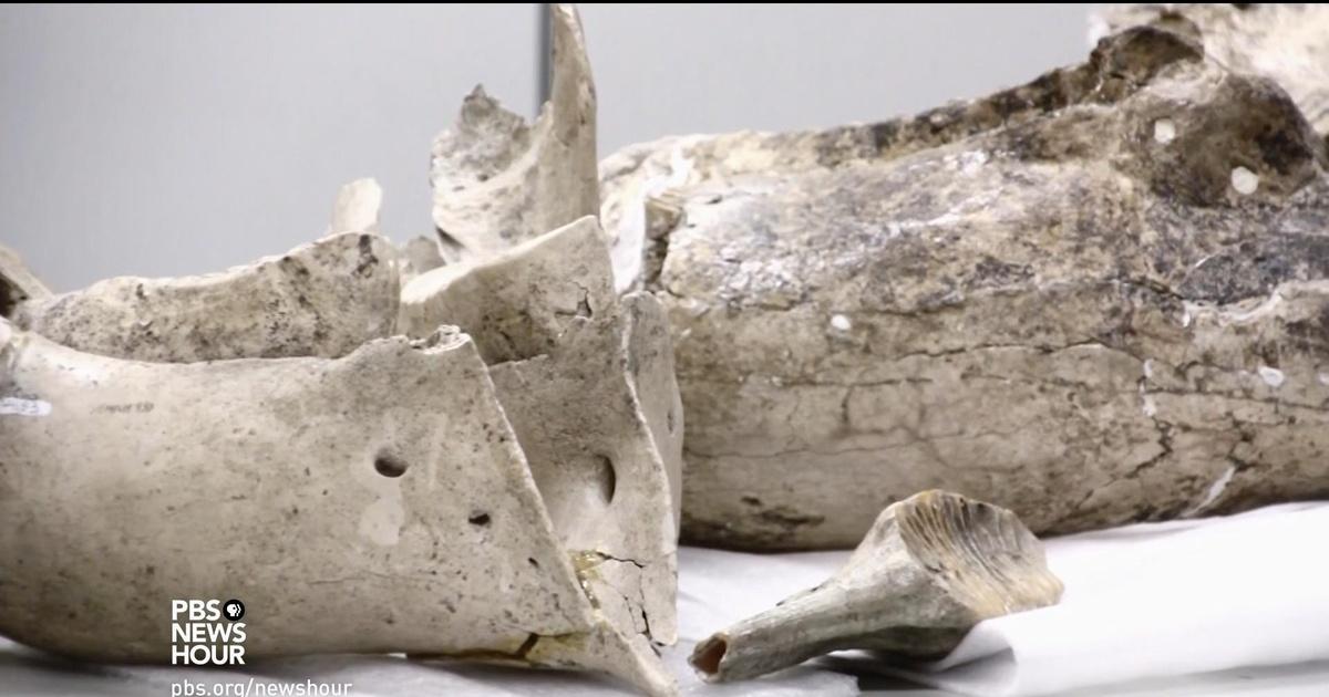 PBS News Hour | How this remote national park made a mammoth discovery ...