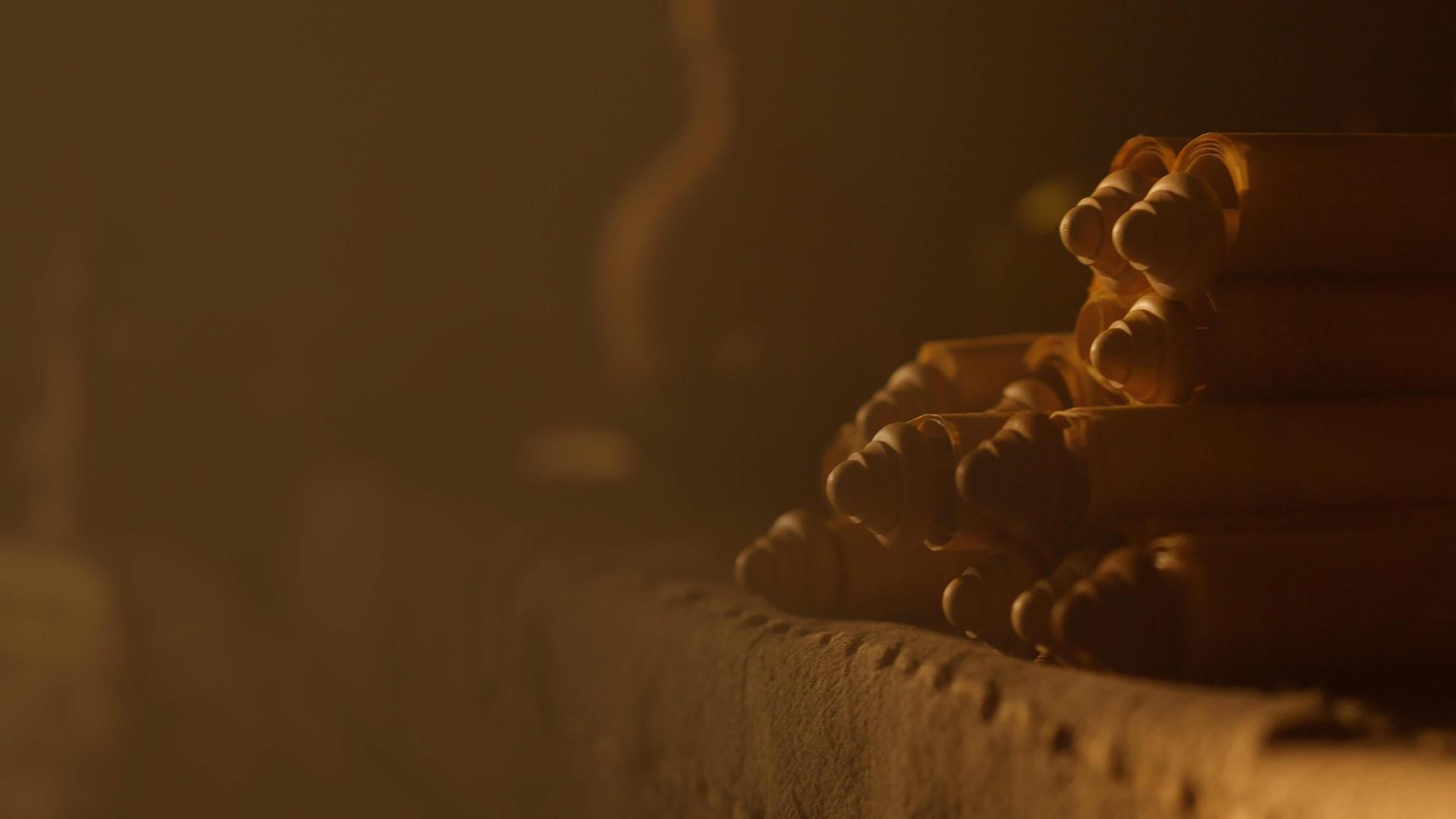 Preview | The Herculaneum Scrolls | Secrets of the Dead | ALL ARTS