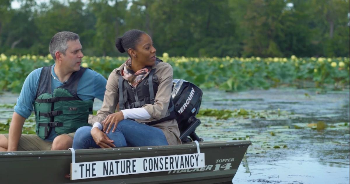 Great Lakes Now | Great Lakes Now Virtual Field Trip - Coastal Wetlands ...