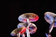 NOVA | Critical Condition: Health in Black America | Season 52 ...