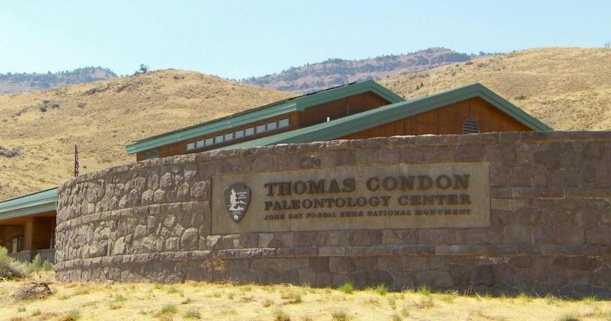 OPB Science From the Northwest | The Thomas Condon Paleontology Center ...