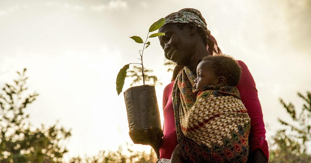 The Age of Nature | Awakening | Episode 1 | Maine PBS