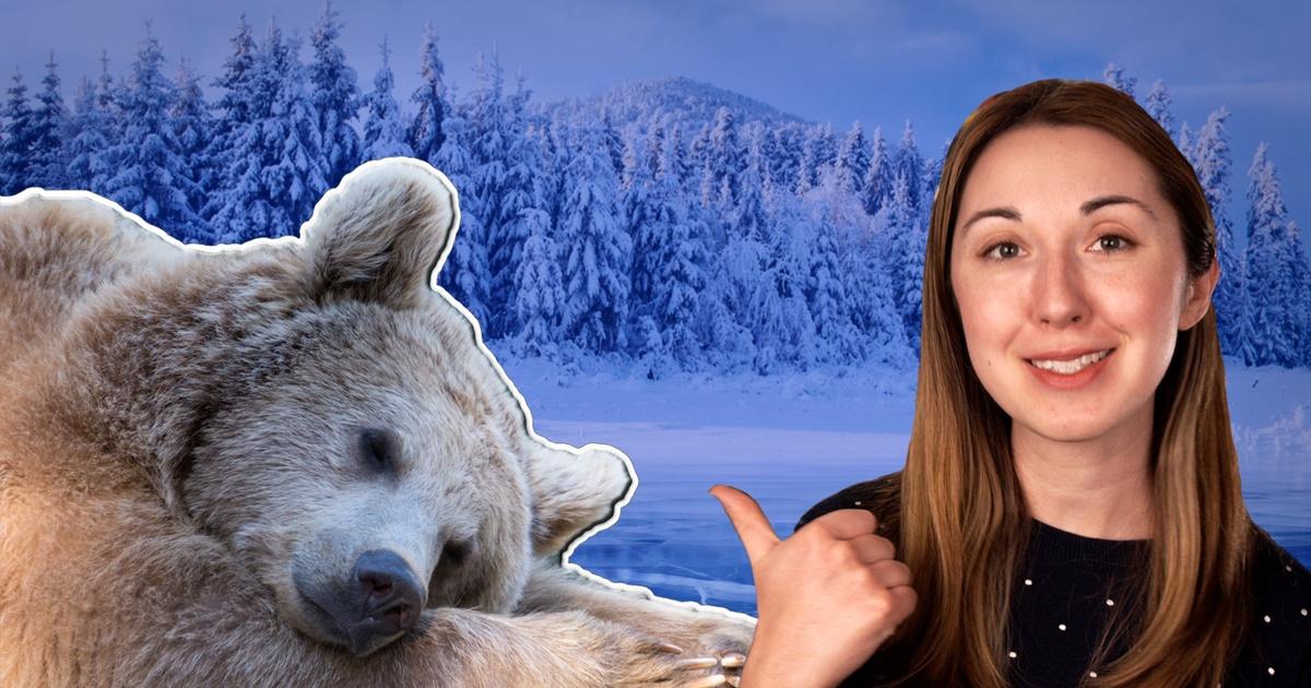 Reactions | Climate Change is Affecting Hibernation Patterns of Animals ...