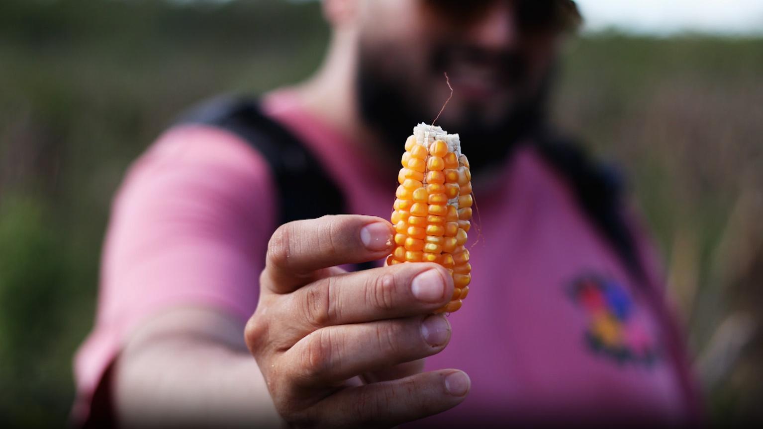 Austin PBS Livestream