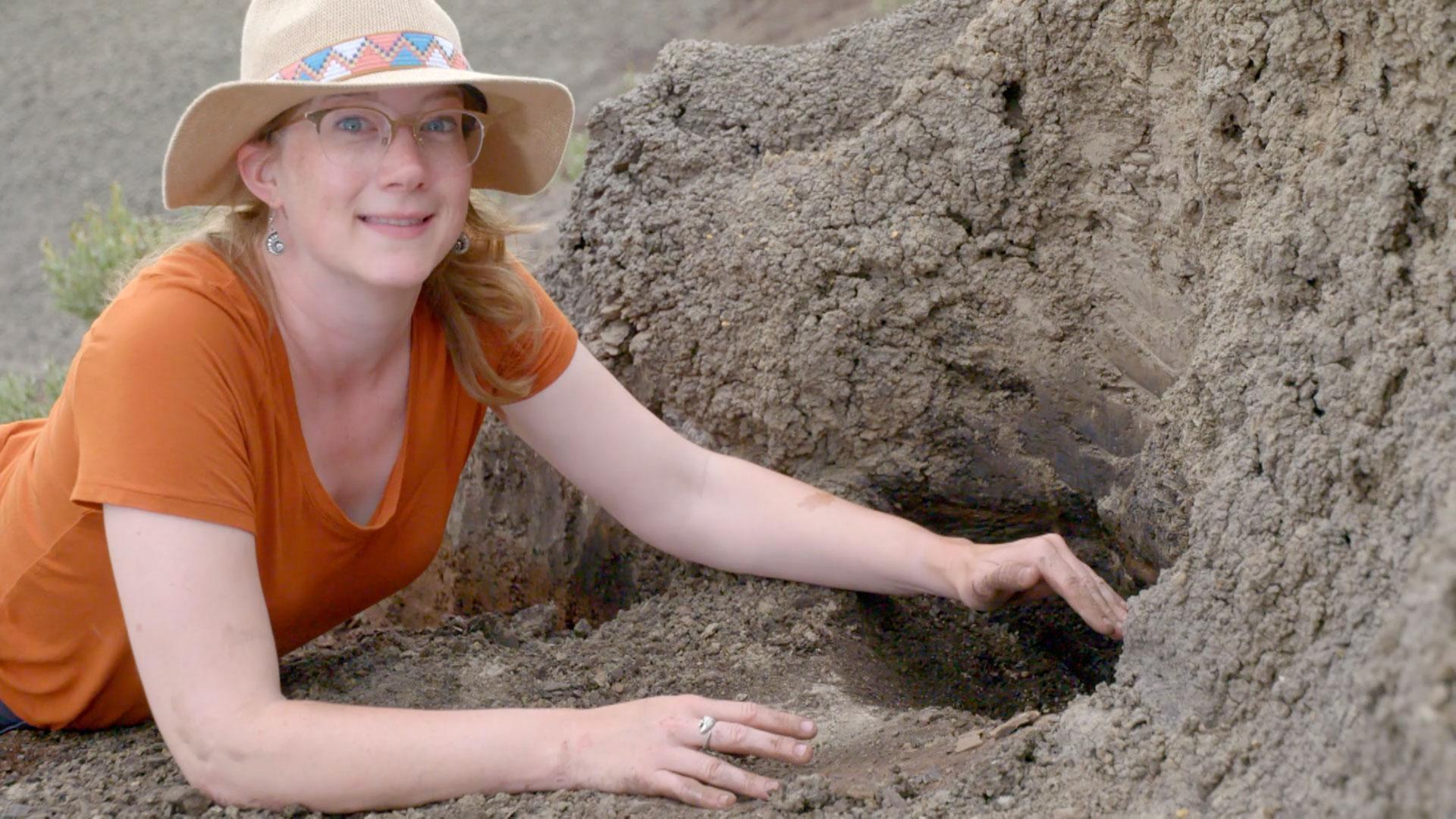 Prehistoric Road Trip - Tracing the Day the Dinosaurs Died - Twin ...