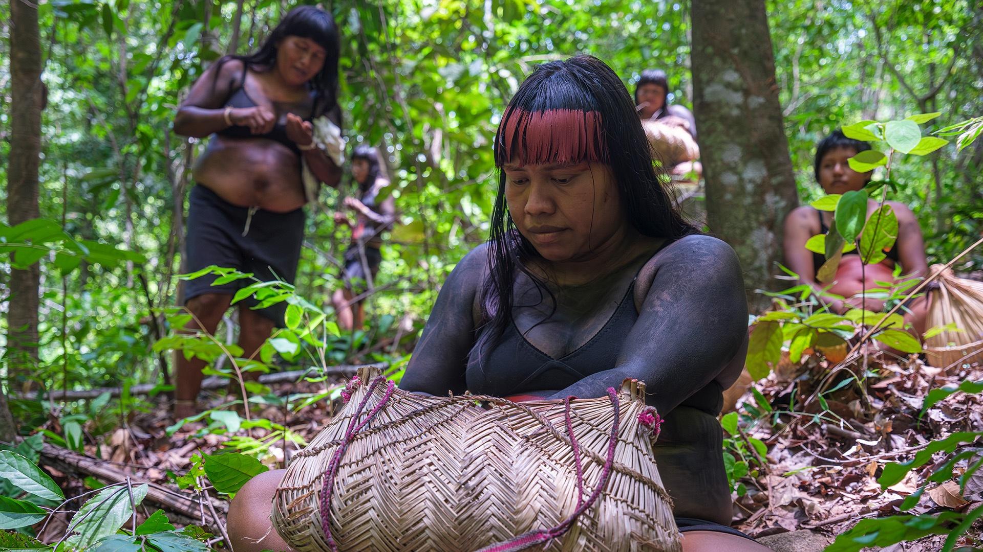Forests | The Future of Nature | THIRTEEN - New York Public Media