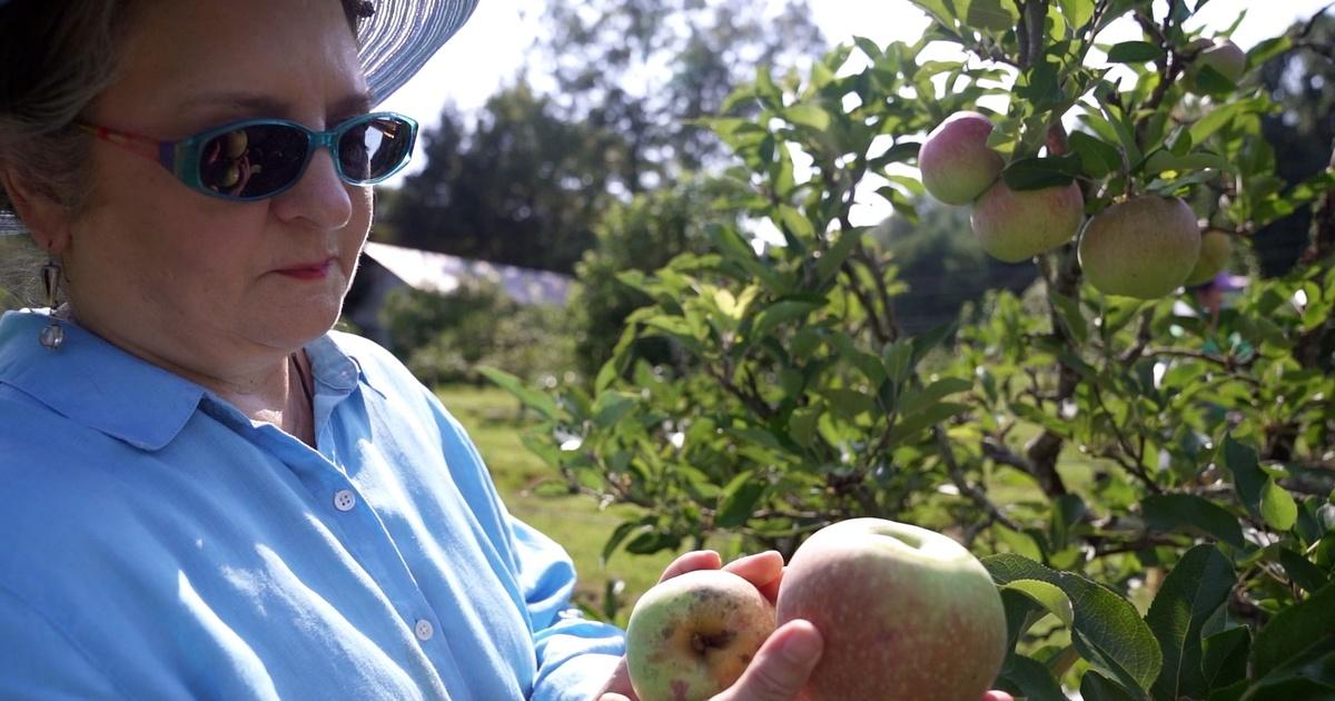 The Key Ingredient | Field Trip to Century Farm Orchards | Season 1 ...