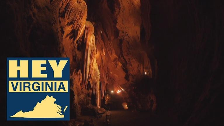 Hey Virginia | PBS