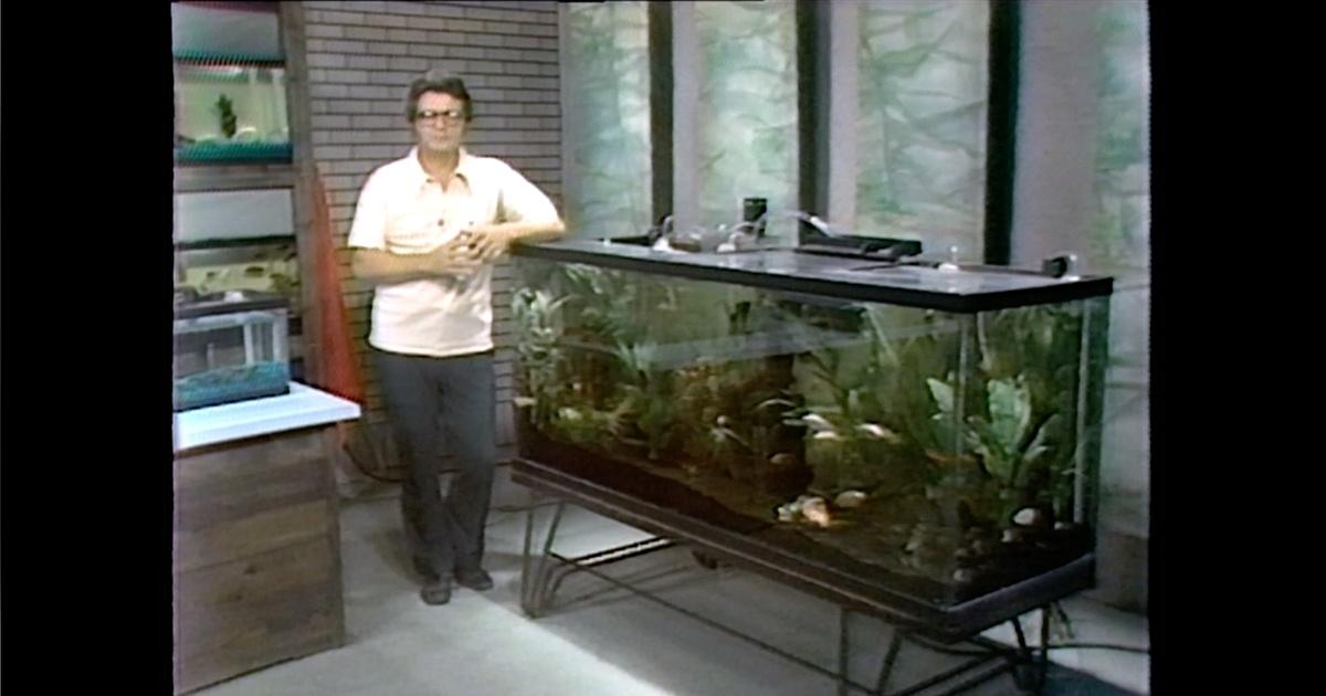 Guppies to Groupers | Community Tank | Episode 2 | PBS