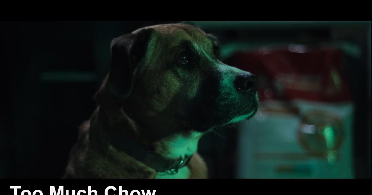 Cinema 42 | Too Much Chow & The Watcher | Season 1 | Episode 6 | PBS