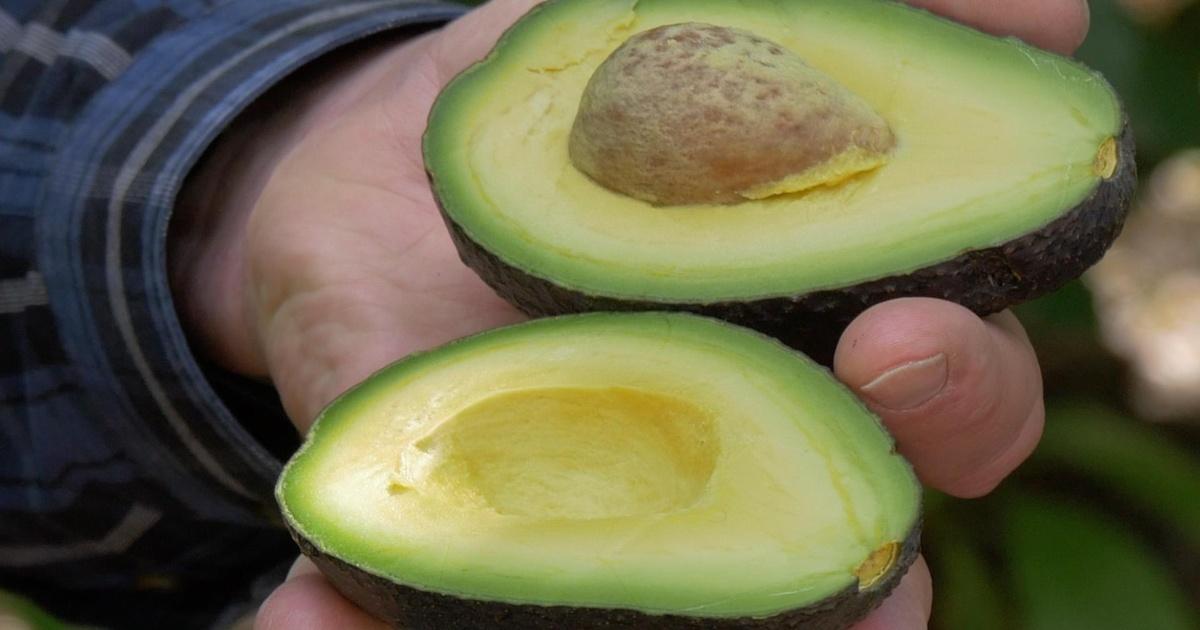 Valley's Gold | Avocado | Season 5 | Episode 2 | PBS