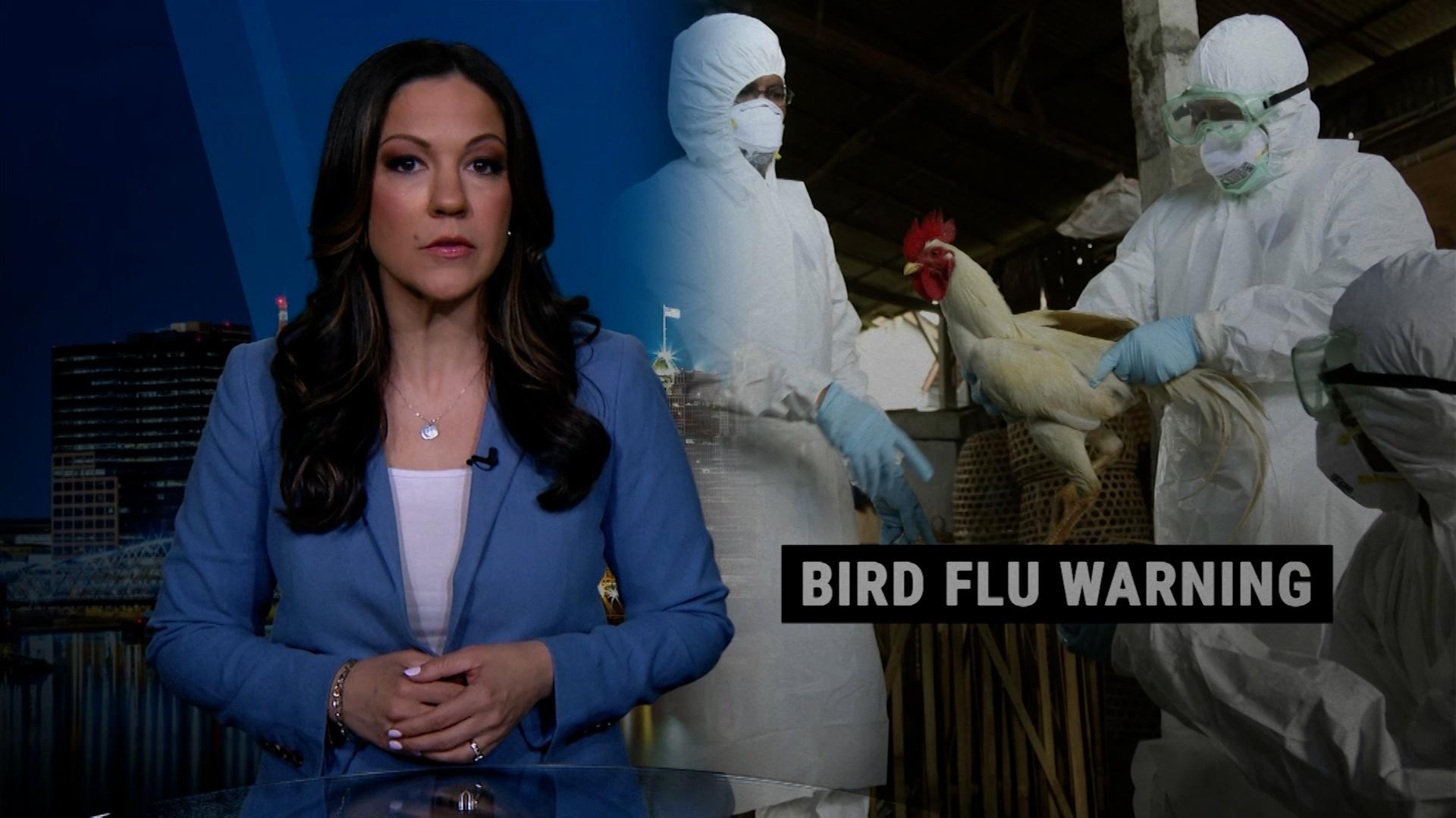 Bird flu outbreak spreads, but risk to public 'very low' | NJ Spotlight ...