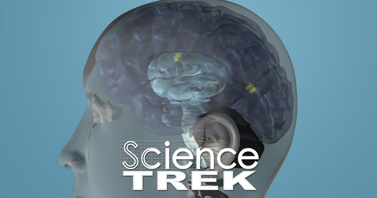 Science Trek | The Brain: What's Inside Your Head | PBS