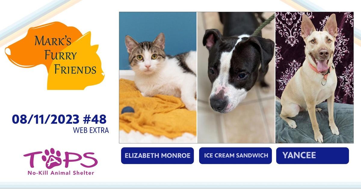 Mark’s Furry Friends | 08/11/2023 | Elizabeth Monroe, Ice Cream and ...