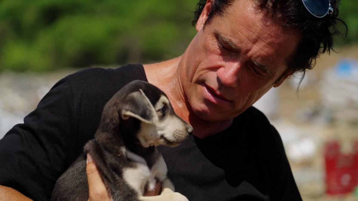 The Dogs of Hurricane Dorian | Doug to the Rescue | NJ PBS