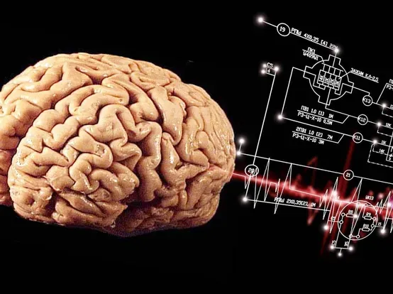 NOVA | Your Brain: Who's in Control? | Season 50 | Episode 10 | PBS