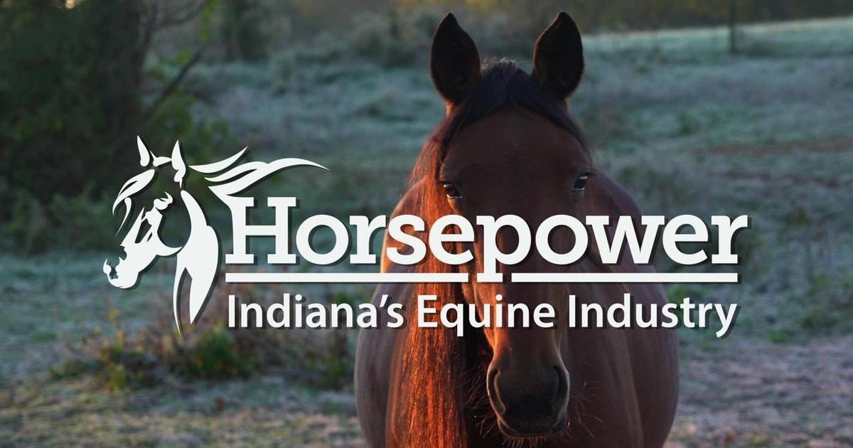 WTIU Documentaries | Horsepower: Indiana's Equine Industry | PBS
