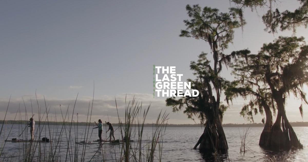 WEDU Specials | The Last Green Thread | PBS