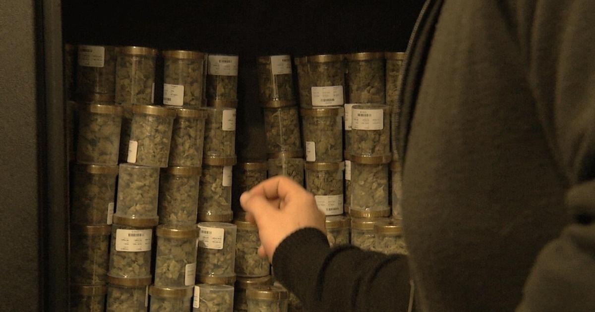 MetroFocus | NYC GOING TO POT | Season 2018 | PBS